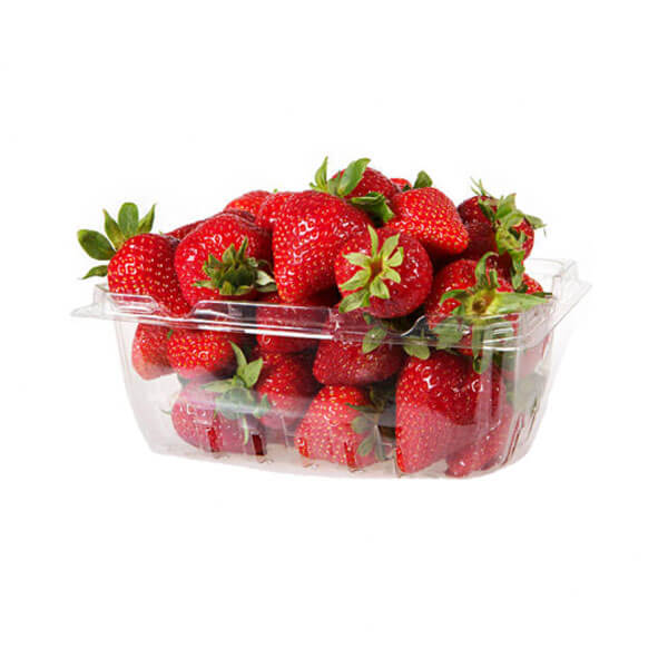 Juicy Strawberry - Sea View World Aquatics